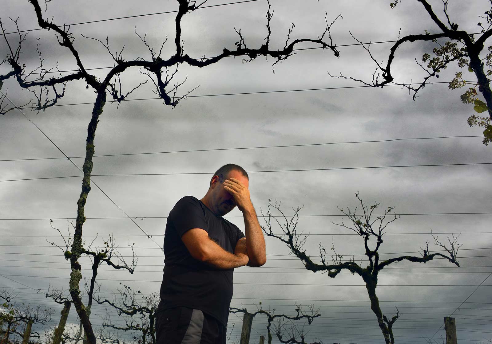 Estudo da Abrasco revela o agravamento dos efeitos dos agrotóxicos na ...